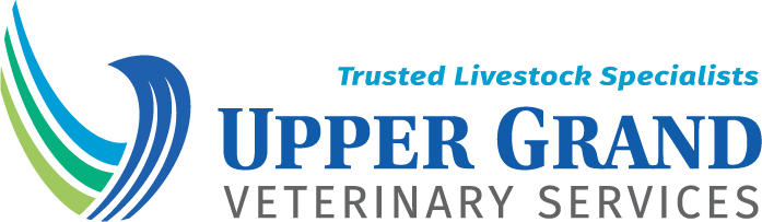 UGVS Newsletter – June 2023 – Upper Grand Veterinary Services