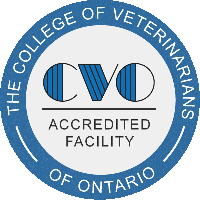 Contact – Upper Grand Veterinary Services